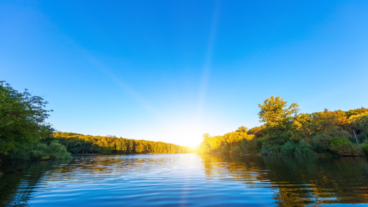 Angela Connelly Portfolio – Marketing Communications Work Samples